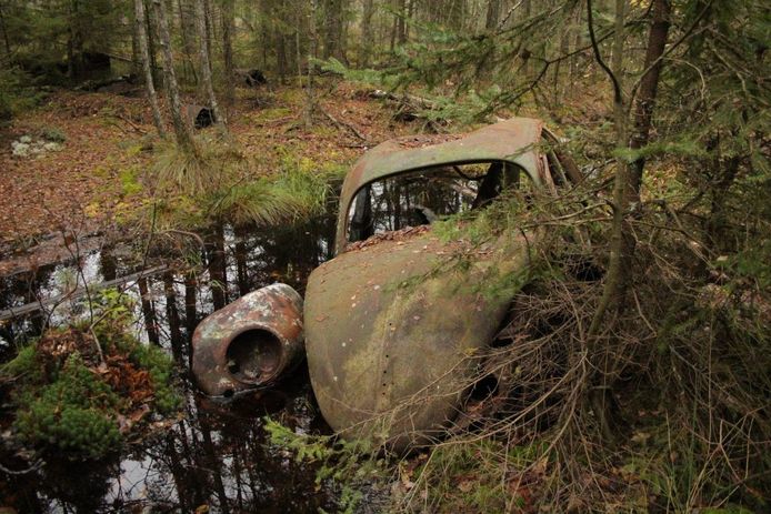 Youtuber filmt honderden roestende klassiekers in Zweeds moeras | Auto ...