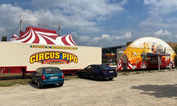 Circus Pipo strijkt neer in Zandhoven | Zandhoven | hln.be