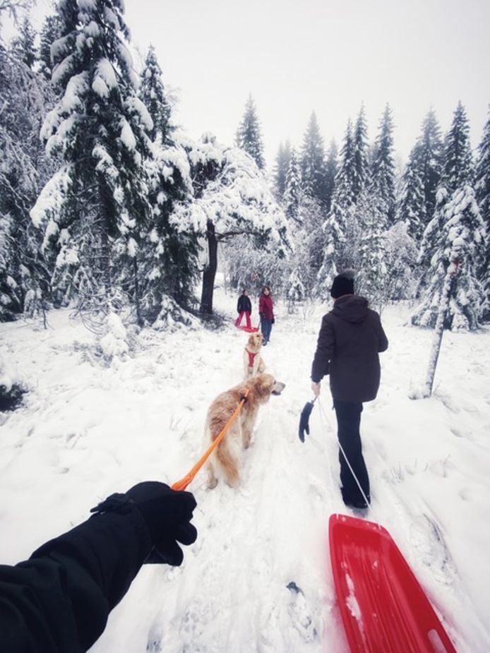 COLUMN. Staf vertrekt: “Bij vertrek weten we nog niet dat ik enkele ...