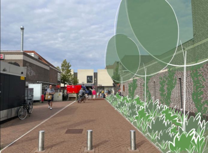 Waalwijks centrum kleurt groener in strijd tegen ‘verstening’, maar het ...