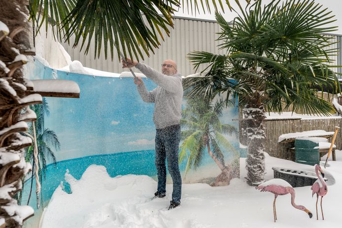 Billenknijpen voor de exotische tuinier: tien tips voor palmbomen in de ...