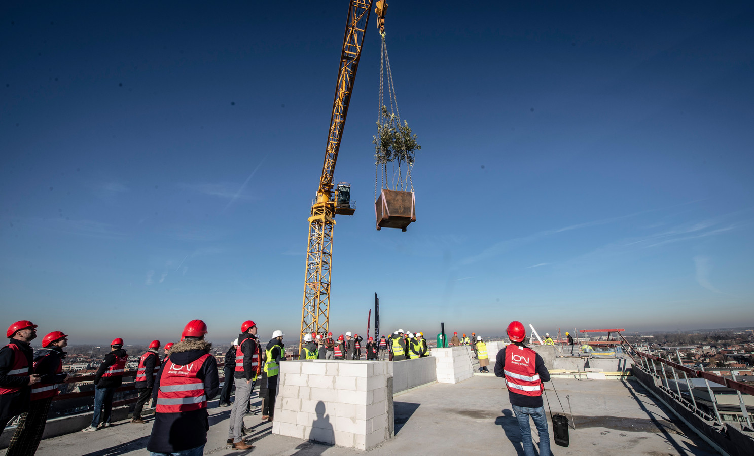 Meiboom gezet op 46,13 meter hoogte: ruwbouw Roelevard klaar, eerste ...