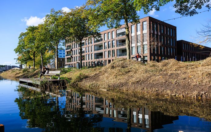 En weer werden de oevers van de Piushaven kaal gemaaid: ‘Ze zijn ...
