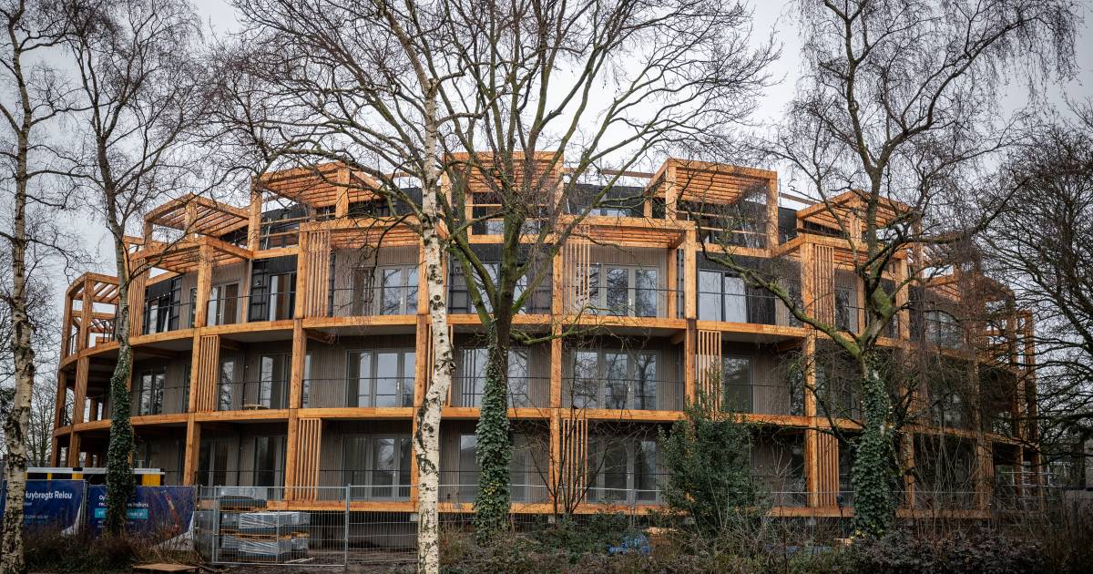 Er staat een ‘Colosseum’ in Woensel: ‘Toen ik naar het plaatje keek ...