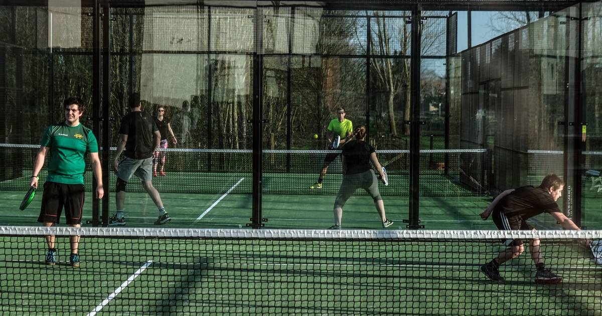 “Voor je het weet, ben je aan padel verslaafd”: Antwerps topspeelster ...
