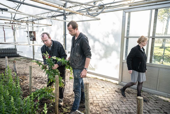 Hoe gevaarlijk is boeket? Bij gemengde bos werden 25 verschillende ...