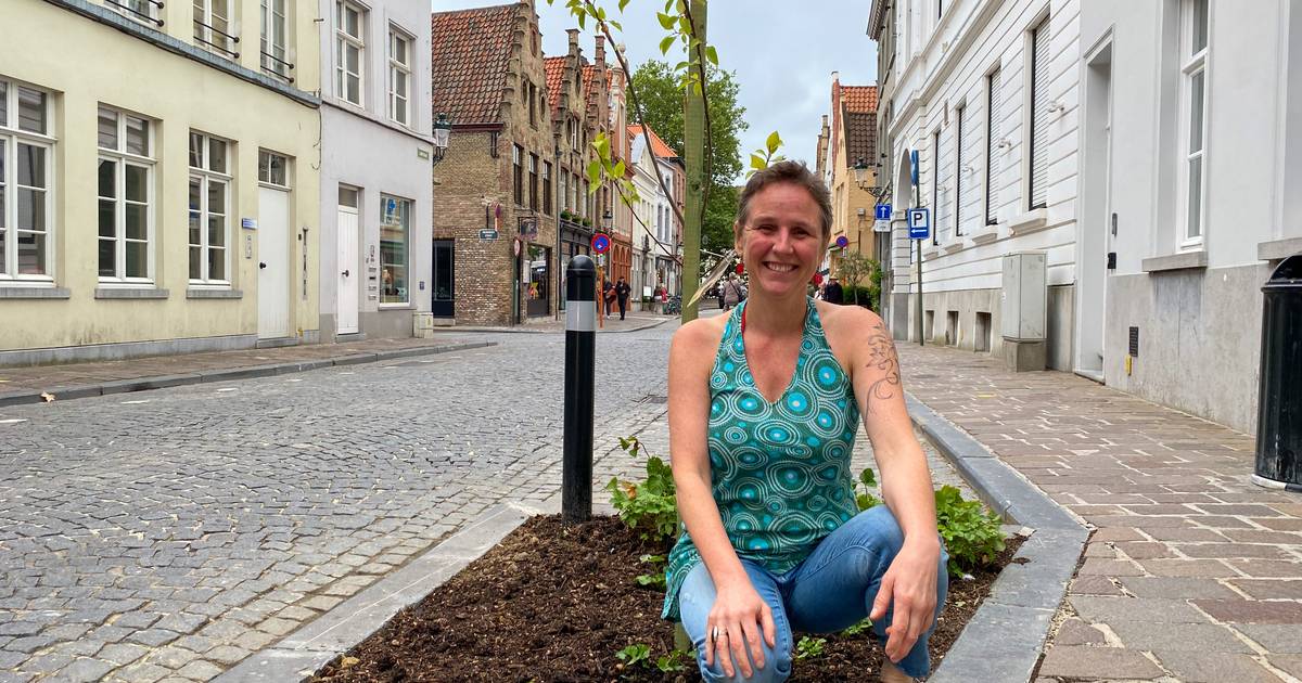 Pruimenboom, bessenstruik en rozemarijn: Isabelle plant een ...