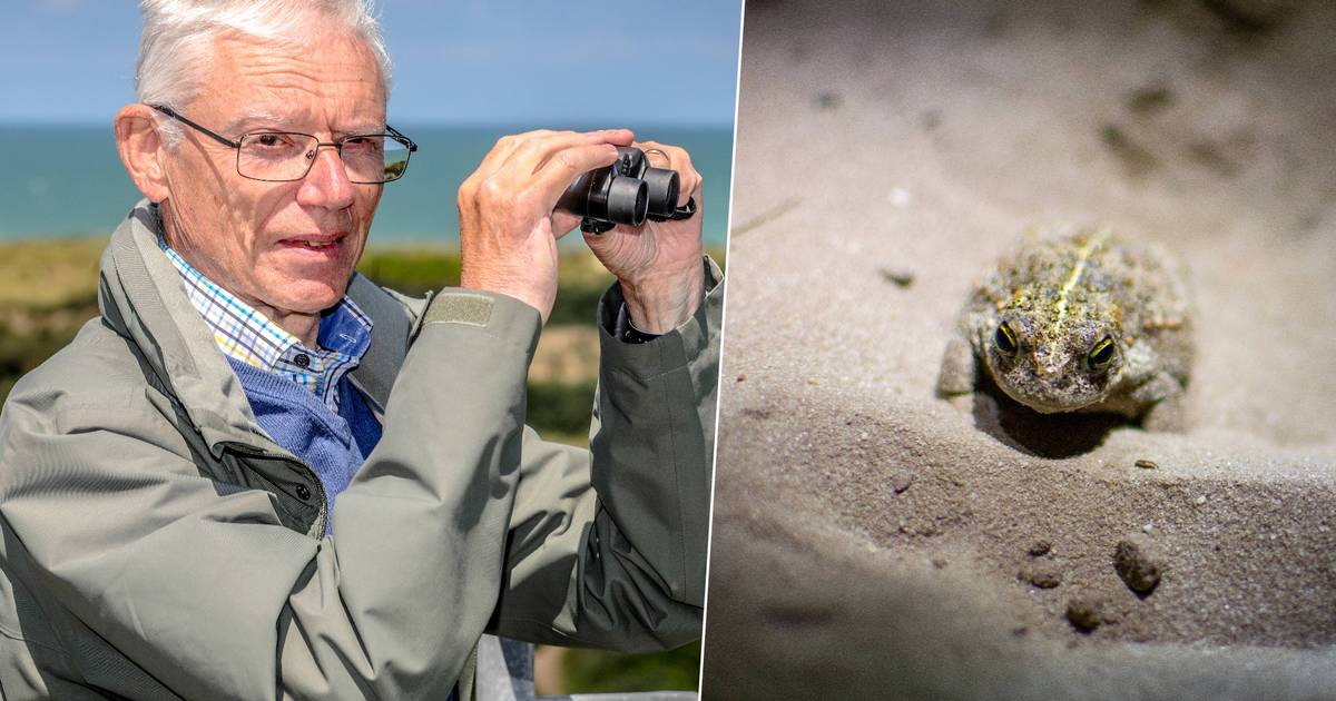 Op safari langs de ‘big five’ van elke kustgemeente: “Van de vliegensvlugge visdief tot de ...