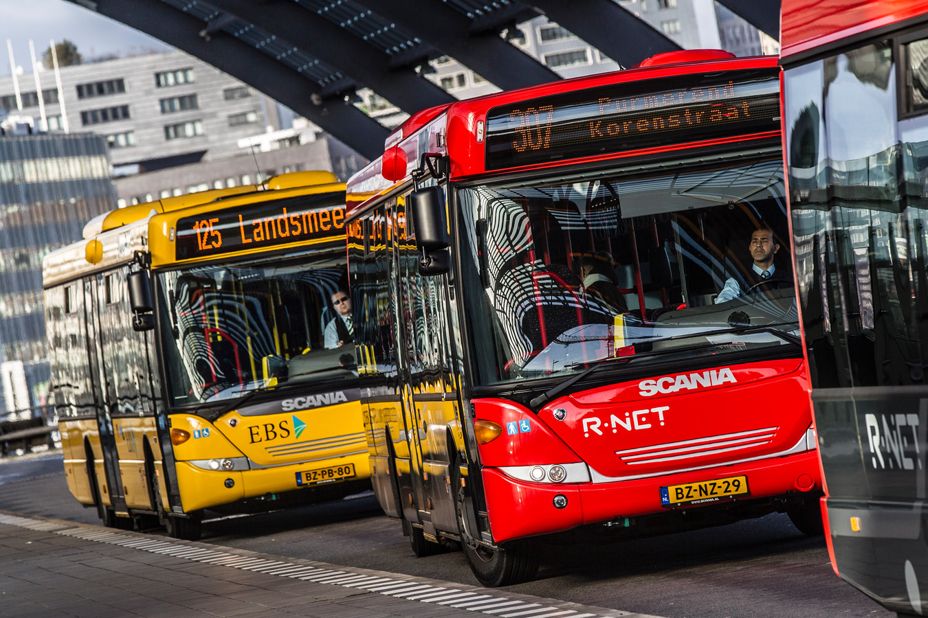 Nieuw busbedrijf is nu nog een grote onbekende | Foto | AD.nl