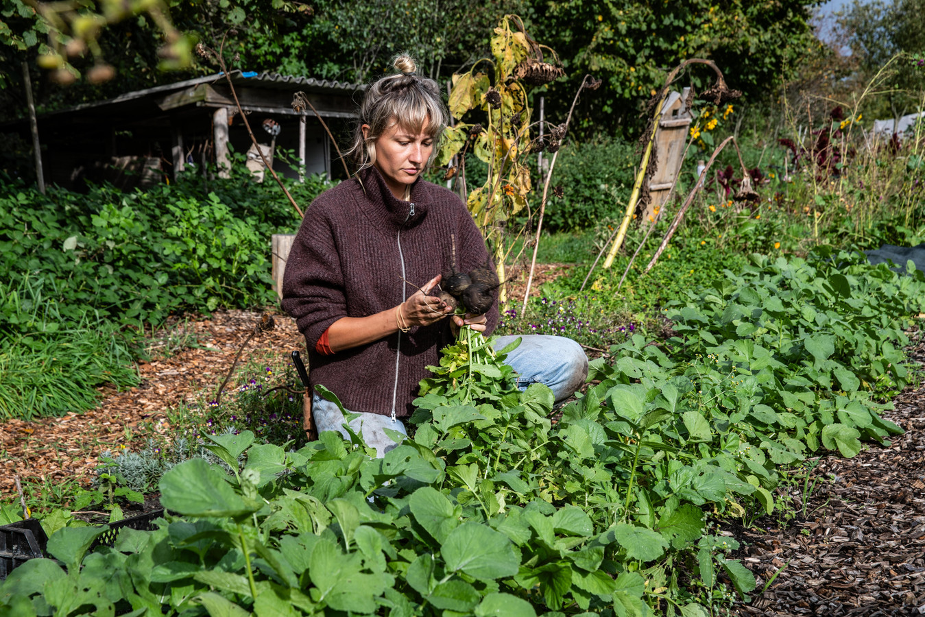 Anna (32) zegt kantoorbaan op om boer te worden in Twello: ‘Minder geld ...