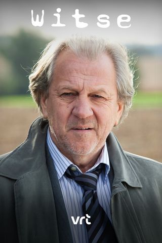 Witse - Seizoen 1 - Online kijken - Streamz