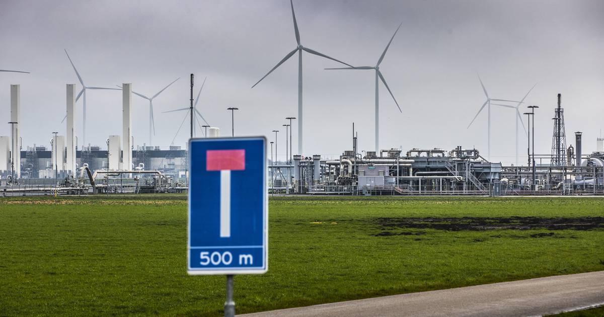 Martijn van Haaster benoemd tot nieuwe directeur NAM | Groningen | AD.nl