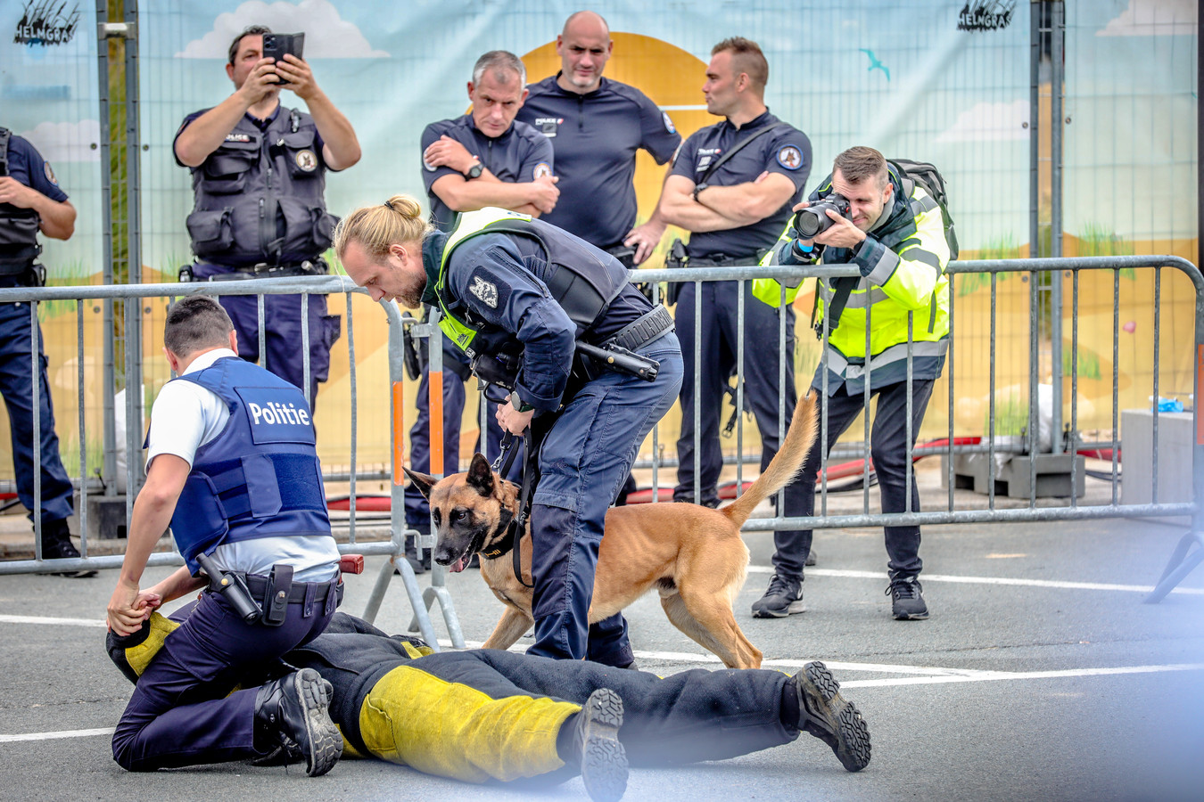 Hond en politie tonen hun samenwerking op het strand in Koksijde: “Onze ...