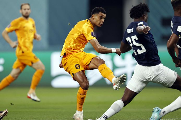 De kip was toch al dood, zoals je de duizenden doden in Qatar er niet ...