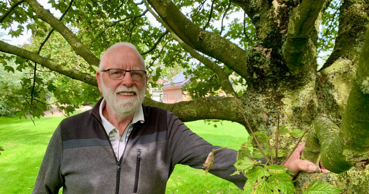 Teun van Zanten (85) kan prachtig over de oorlog vertellen en staat nog ...