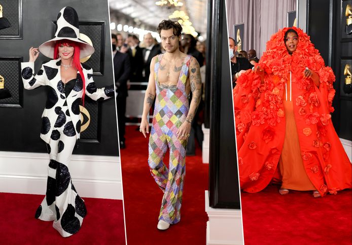 IN BEELD. Het ‘bollenpak’ van Shania Twain en de blote borst van Harry ...