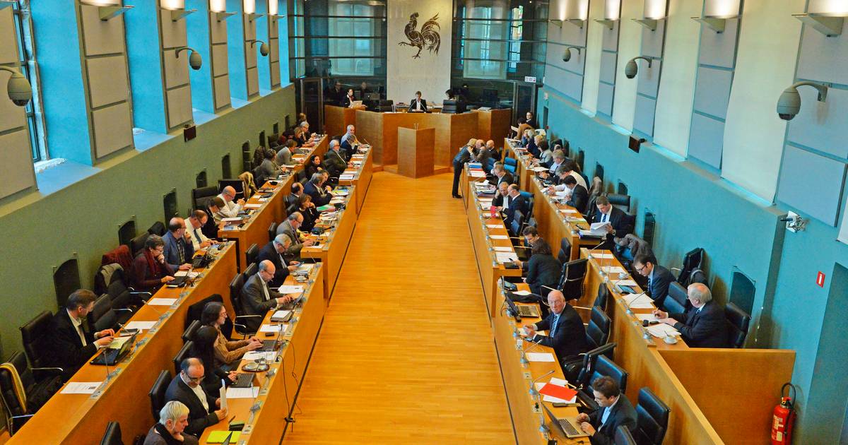 Waals parlement legt de eed af zonder hertelling stemmen | Binnenland ...