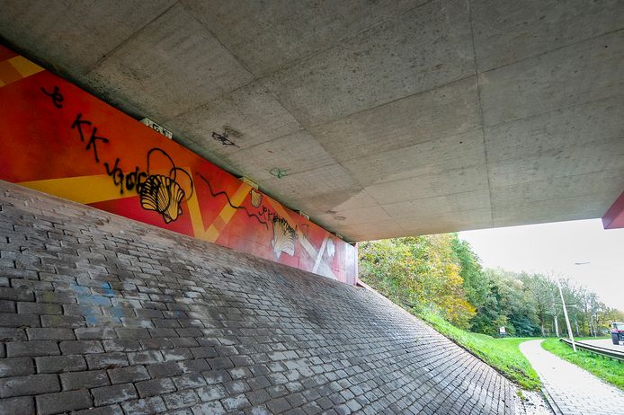 Halsters graffitikunstwerk beklad met anti-Joodse leuzen: ‘Dit is echt verschrikkelijk’ | Bergen ...