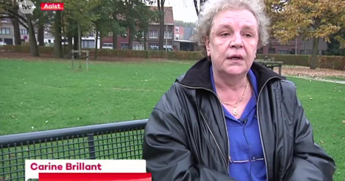 Moeder van dader dodelijke steekpartij in Aalst: Moeder van dader dodelijke steekpartij in Aalst: