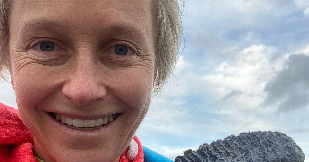 Op fossielenjacht met Antwerps schepen Annick De Ridder: “Mijn eerste ...