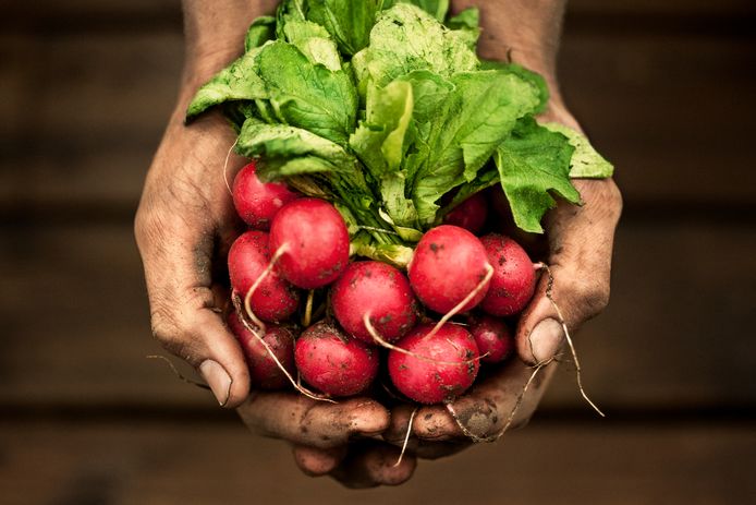 7 ongebruikelijke tips voor in de keuken: “Kook eens met afval” | Eten ...