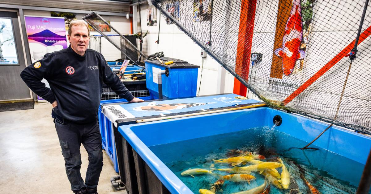 Dit zijn onze meest bijzondere verhalen van de afgelopen week | Rotterdam | AD.nl