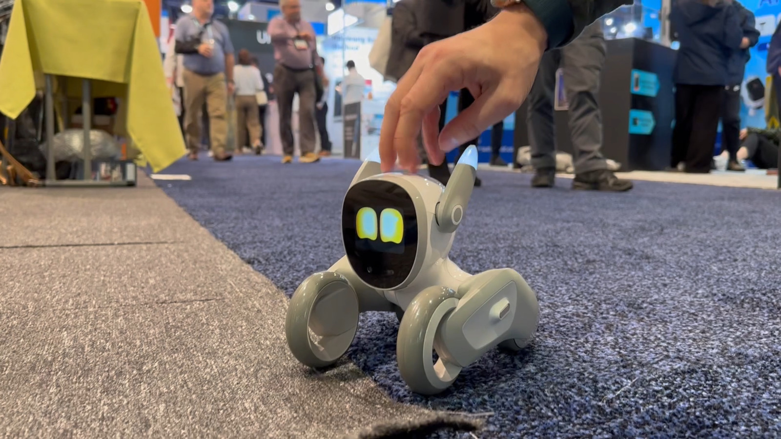 Du barista au petit compagnon: 2024 sera-t-elle l’année du robot ...