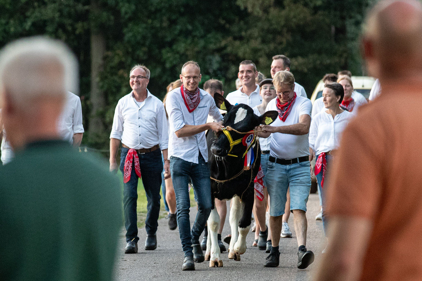 Dit Twentse stel krijgt een koe als huwelijkscadeau: ‘Eerste date was ...