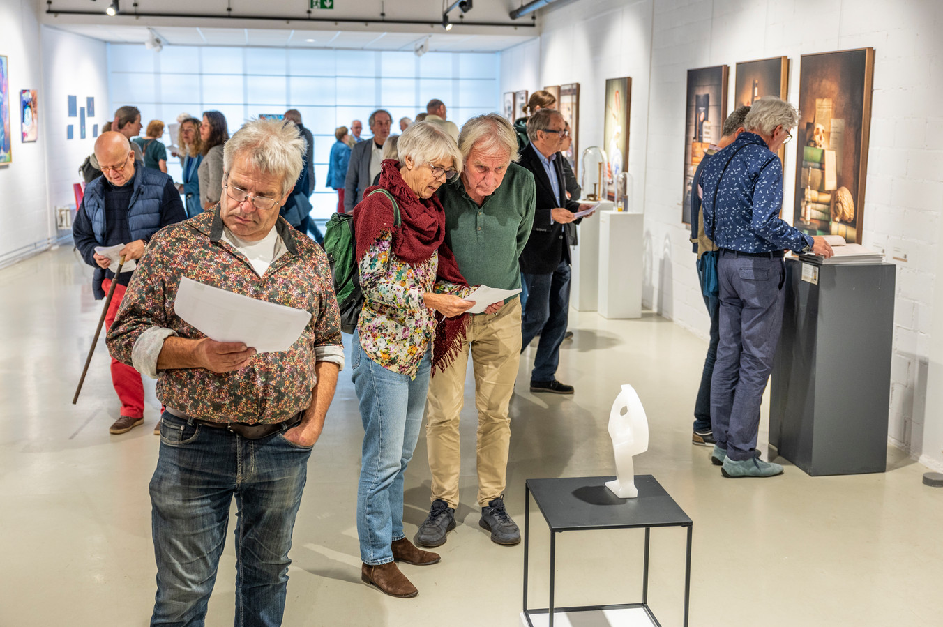 Tentoonstelling van Ossenaren in K26: ‘Het zijn de kunstenaars, de ogen ...