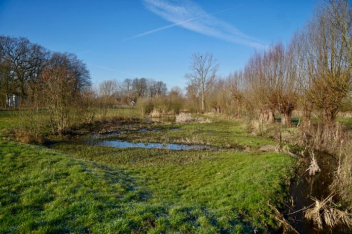 Vierde wandeling ‘Lint gehucht’ laat deelnemers genieten van Langbos en ...