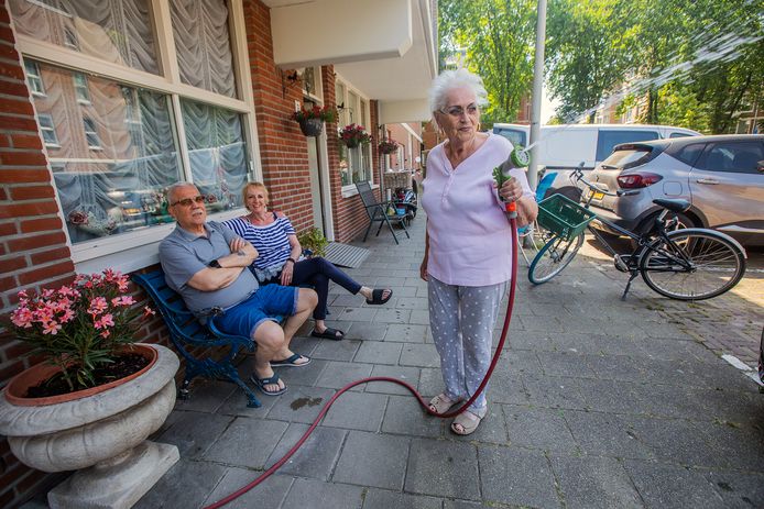 In Haagse wijken kan de gevoelstemperatuur oplopen tot 48 graden Celsius. Hoe houd je het hoofd ...