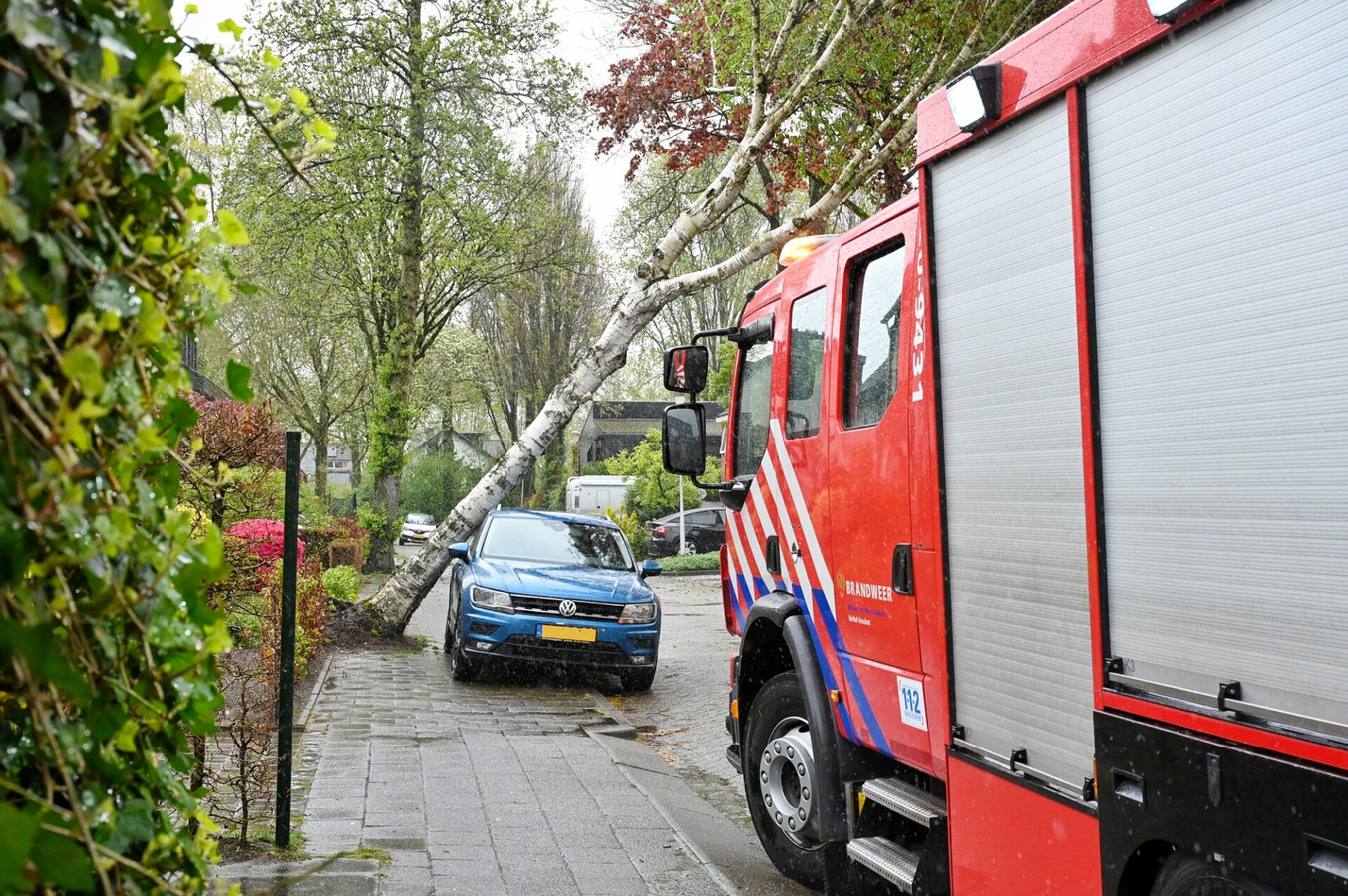 Boom waait om en belandt op auto: brandweer probeert schade te beperken | Foto | AD.nl