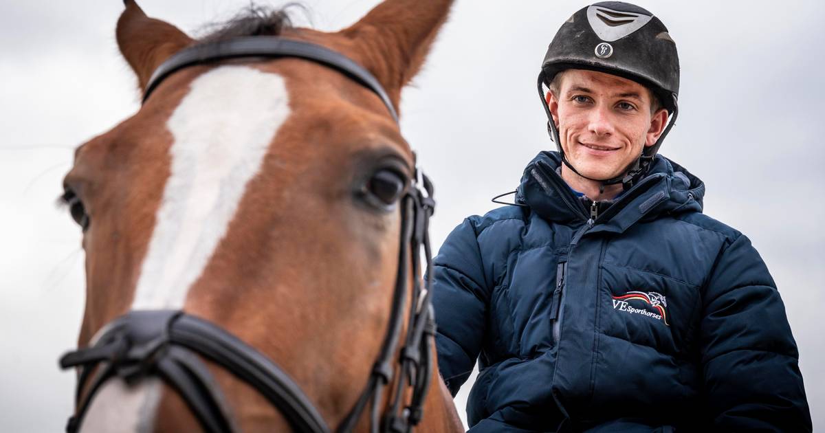 Jarno van Erp is succesvol springruiter, maar: ‘Het familiebedrijf gaat ...