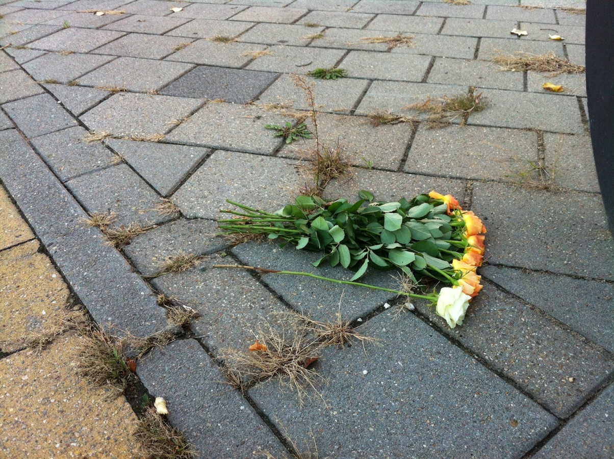 Politie tast in het duister over oorzaak ongeluk | Foto | gelderlander.nl