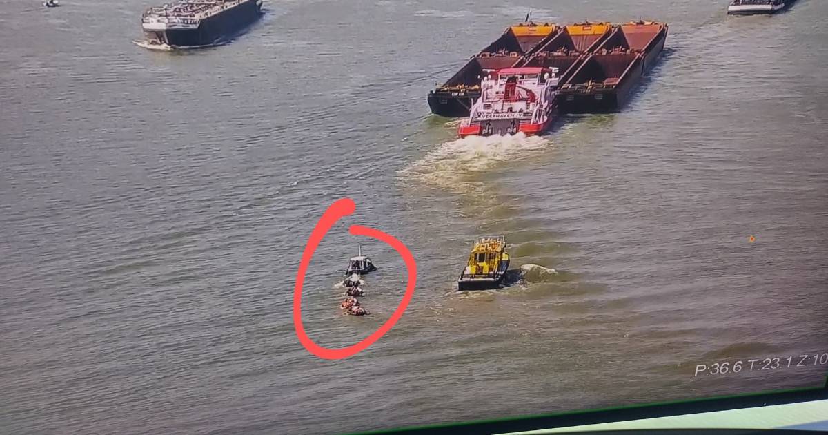 Levensgevaarlijke situatie op water bij Dordtse spoorbrug: ‘Er ware ...