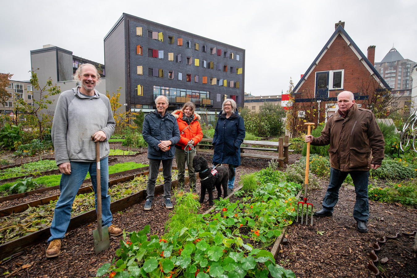 Zorgen over voortbestaan moestuin in centrum Apeldoorn: ‘Wij zijn ...