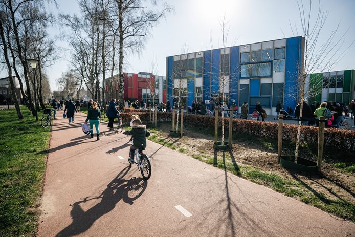 Politiek ‘not amused’ over fors aantal ontslagen op basisschool in ...