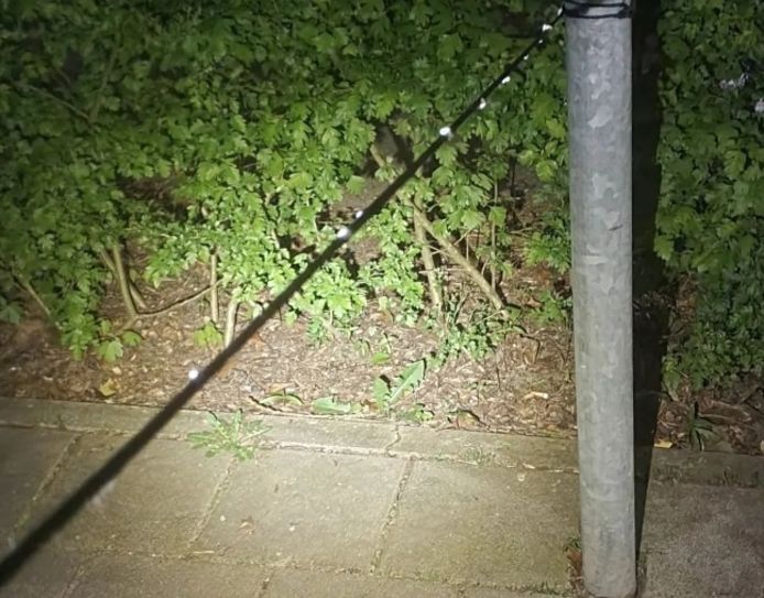 ‘Onzichtbaar’ zwart draad voor derde keer gespannen op fietspad, politie start onderzoek ...