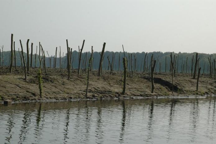 Stakeneilanden in de Put van Caron | Oosterhout | bndestem.nl