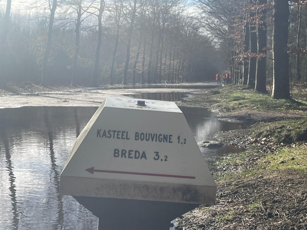 Waterstoring in West-Brabant door kapotte leiding opgelost: groot gat ...