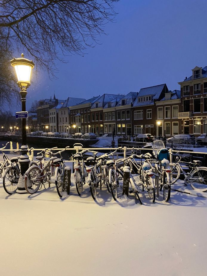 Utrecht kleurt wit! Dit zijn de mooiste sneeuwfoto's | Utrecht ...
