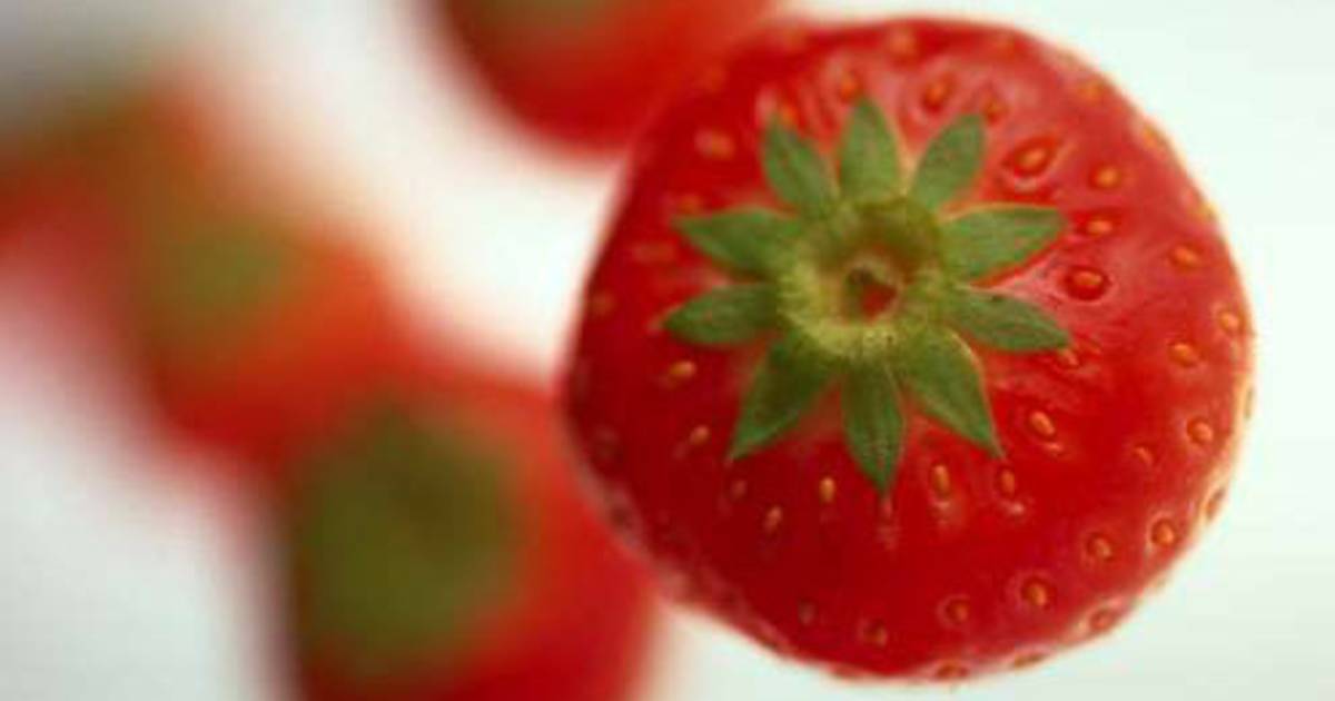 52 euros le ravier de fraises belges de 200 grammes | Manger | 7sur7.be