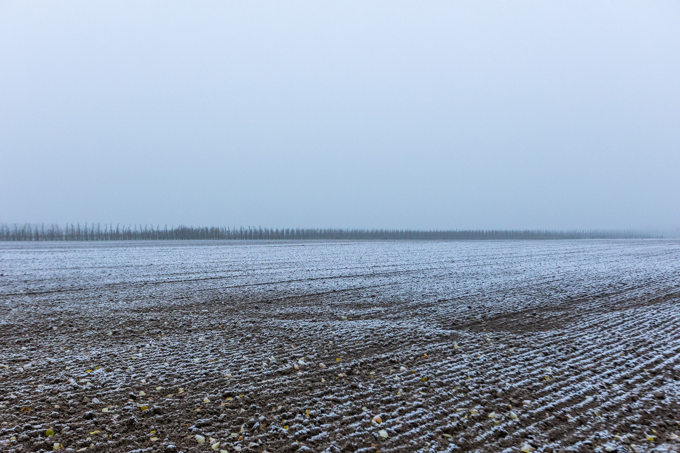 28.000 keer bedankt! Deze verhalen uit Kortessem raakten jullie het ...