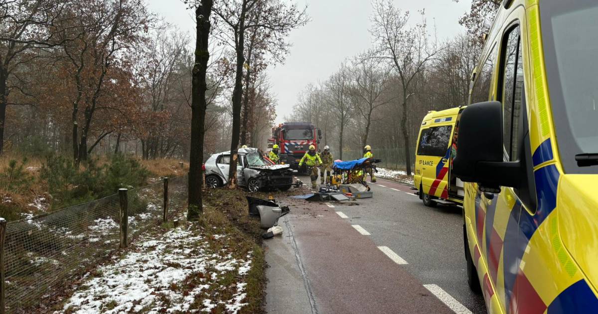Auto crasht tegen boom op provinciale weg, twee slachtoffers zwaargewond | 112 nieuws Arnhem ...