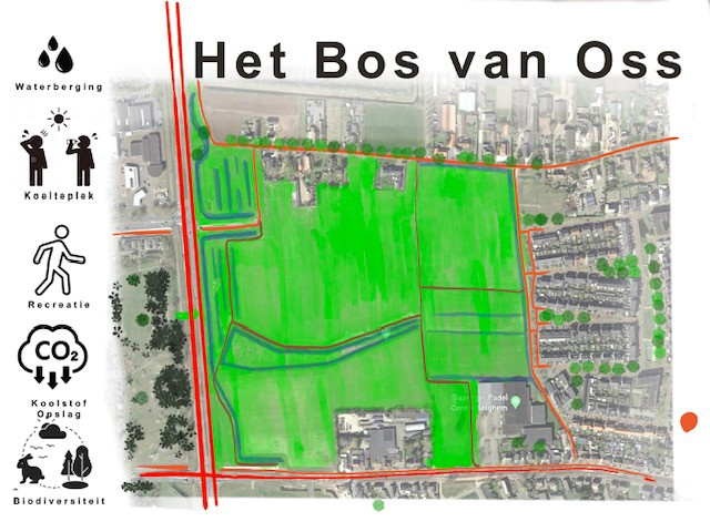 Compleet nieuw Bos van Oss moet in Berghem worden geplant: ‘Simpelweg ...
