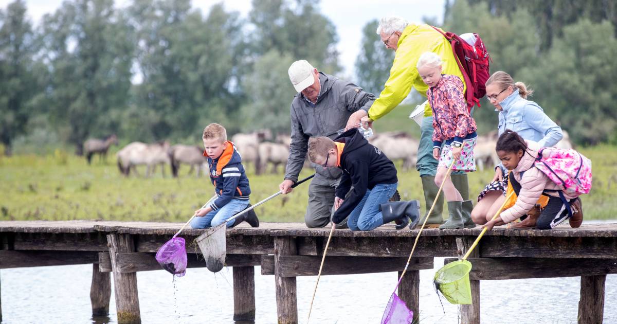 Professor Waterbeestjes geniet van elke ontdekkingstocht in Blauwe ...