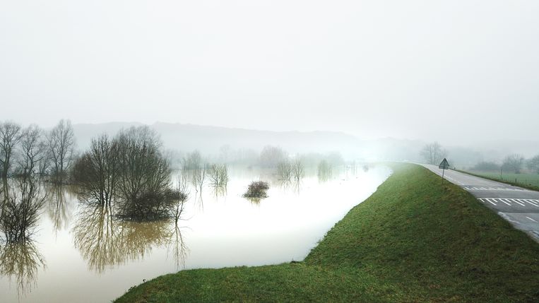 Dijken verhogen én de natuur verrijken? Dat kan | Trouw
