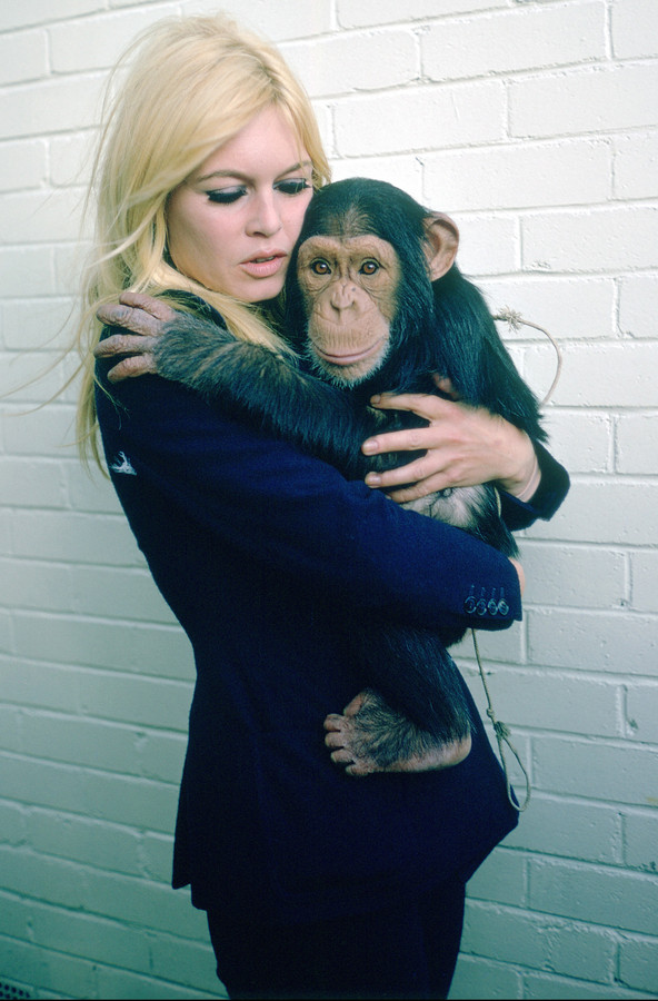 Ooit één en al zwoele sensualiteit, nu teruggetrokken activiste ...