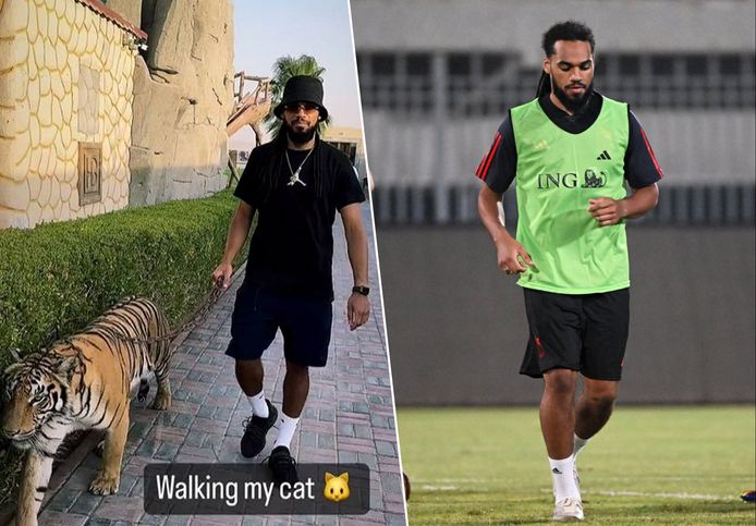 KIJK. “Walking my cat”: Rode Duivel Jason Denayer maakt in Dubai ...