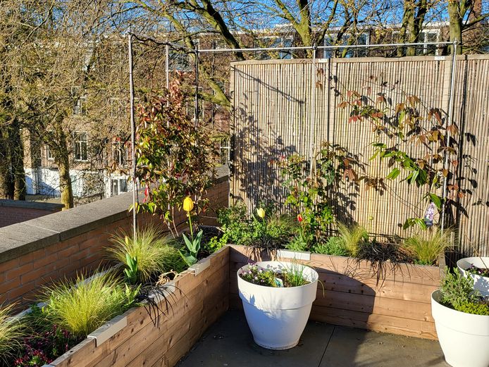 Marike en Gijsbert na verhuizing blij met hun dakterras: ‘Dit terras is ...